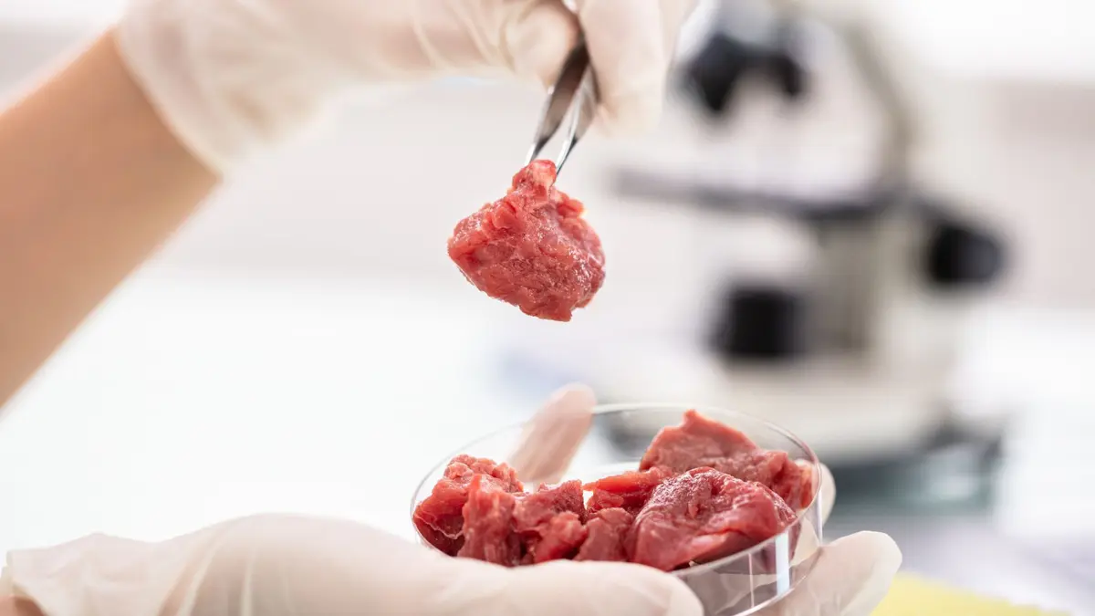 Would You Eat Lab-Grown Meat? The Future of Food Is Now